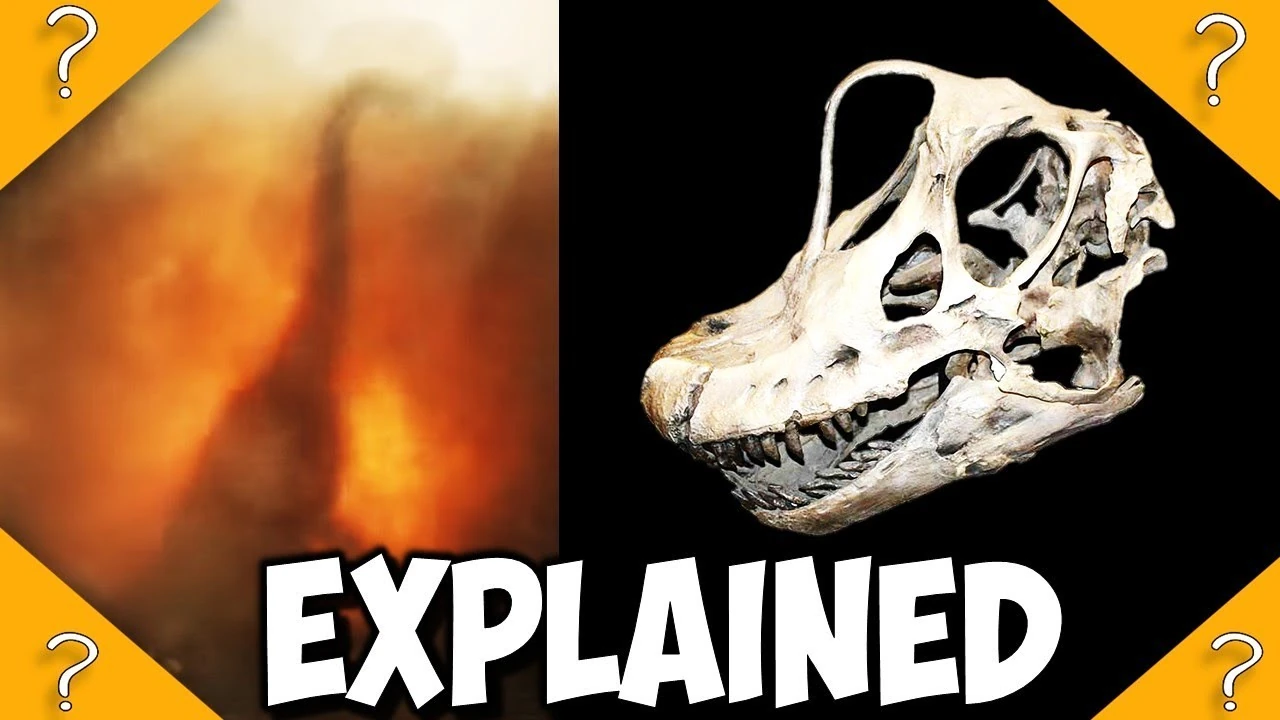 Alteori has a new video!⚡ | Fandom