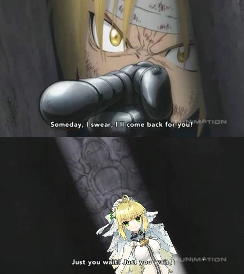 Everyone enjoying the update and while me... Nero Fest is the last chance in NA nuuu ;( | Fandom