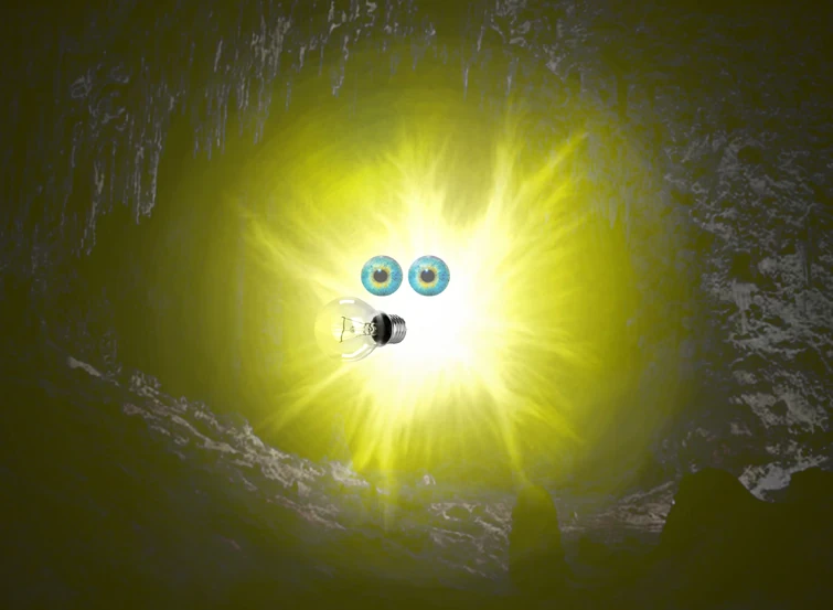 Mario characters/creatures IRL | Fandom