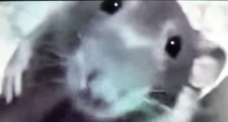 awww what a cute ricky!!! | Fandom