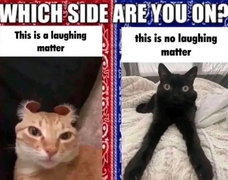 Casually returns (Intro?) | Fandom