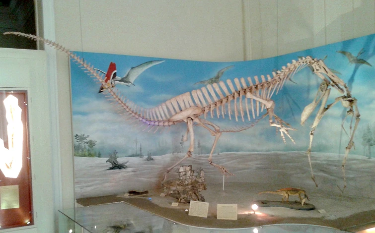 Look at this lovely skeleton pair | Fandom