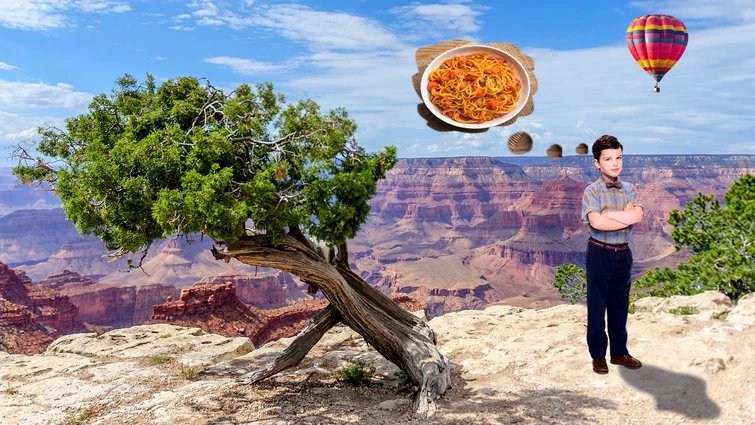 have you watched young sheldon | Fandom