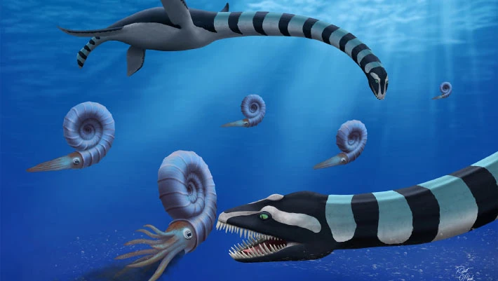 Traskasaura ! A New Plesiosaur moment ! | Fandom