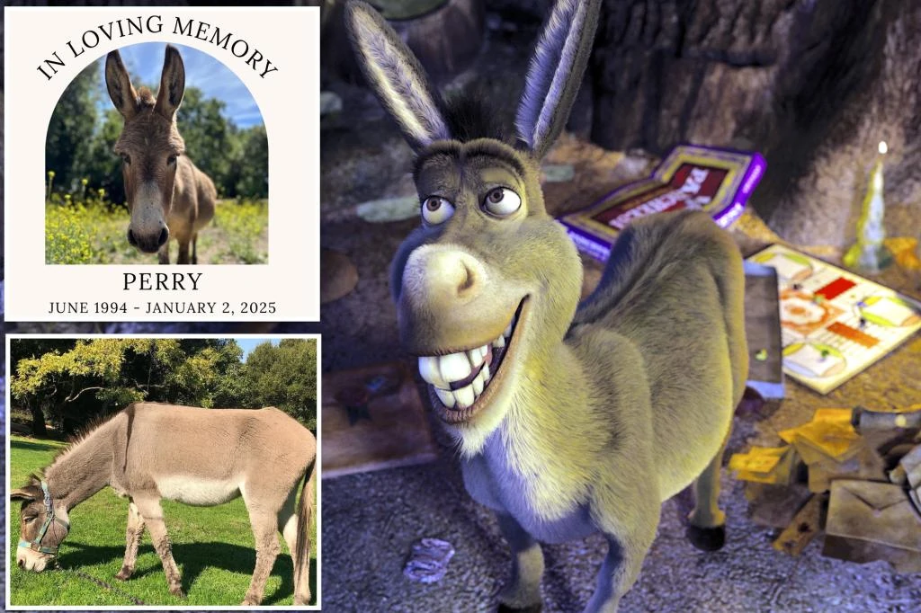 RIP Donkey | Fandom