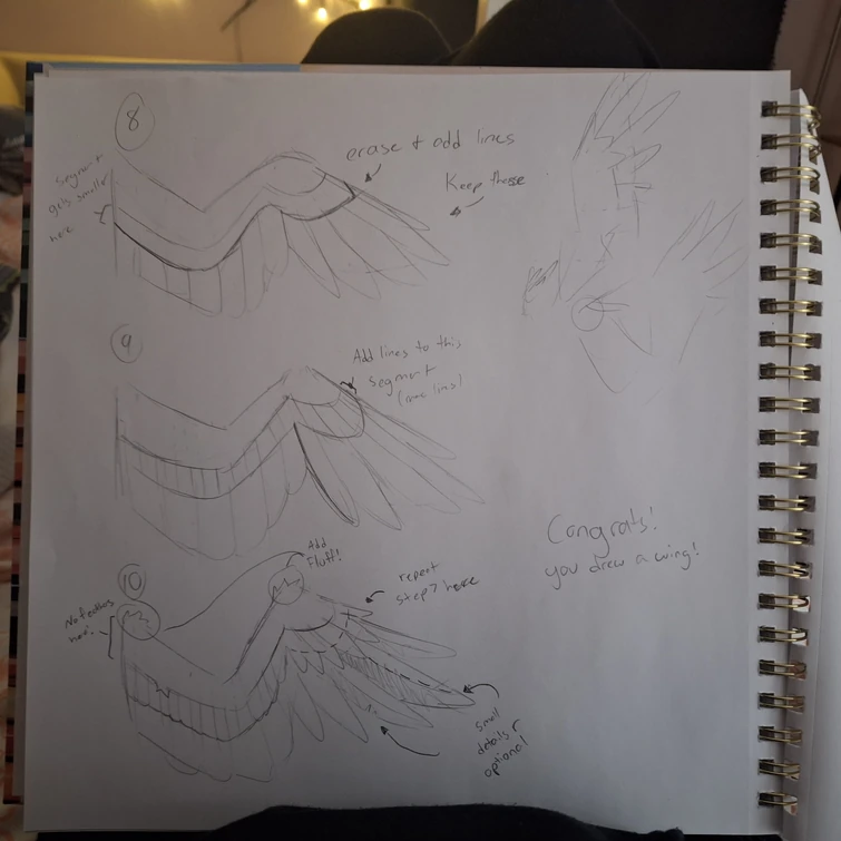 Discuss Everything About Wings of Fire Wiki | Fandom