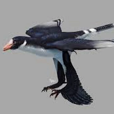 The Most Powerful Theropod - 1:191 | Fandom