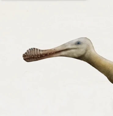 Discuss Everything About Dinopedia | Fandom