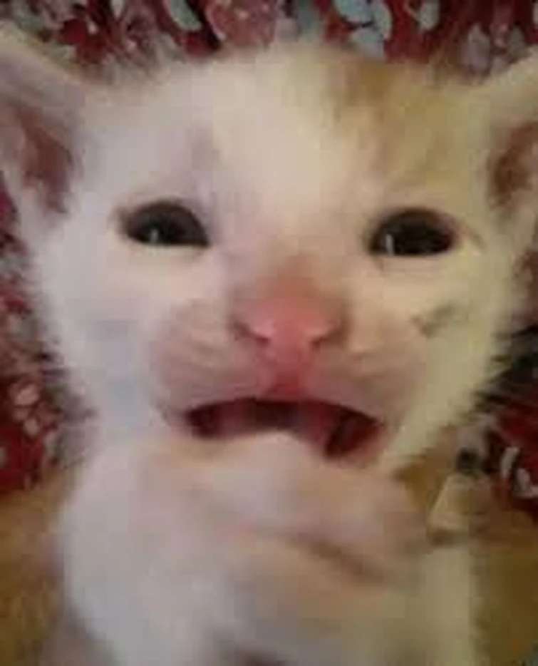 Some PC2 models were shown off in Blender, and, lets just say the ...