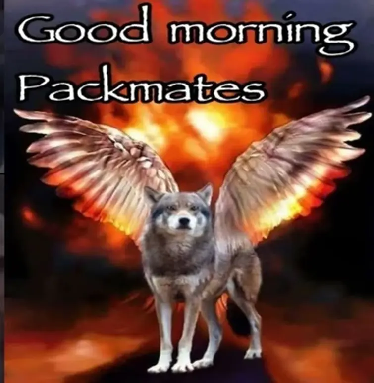 Festive Thread (Megathread, licensed by Astro.lulz) | Fandom