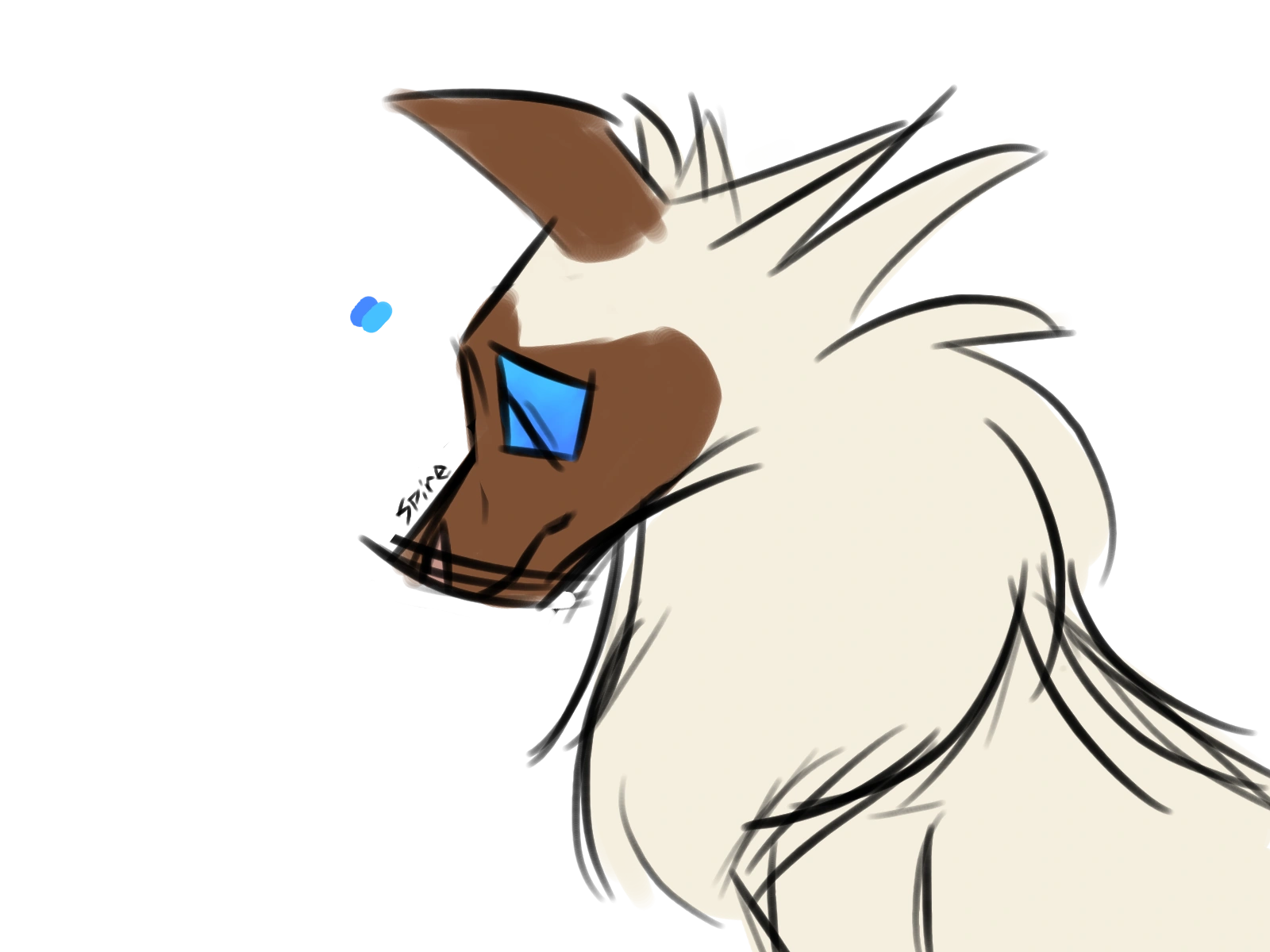 colorpoint cat sketch | Fandom