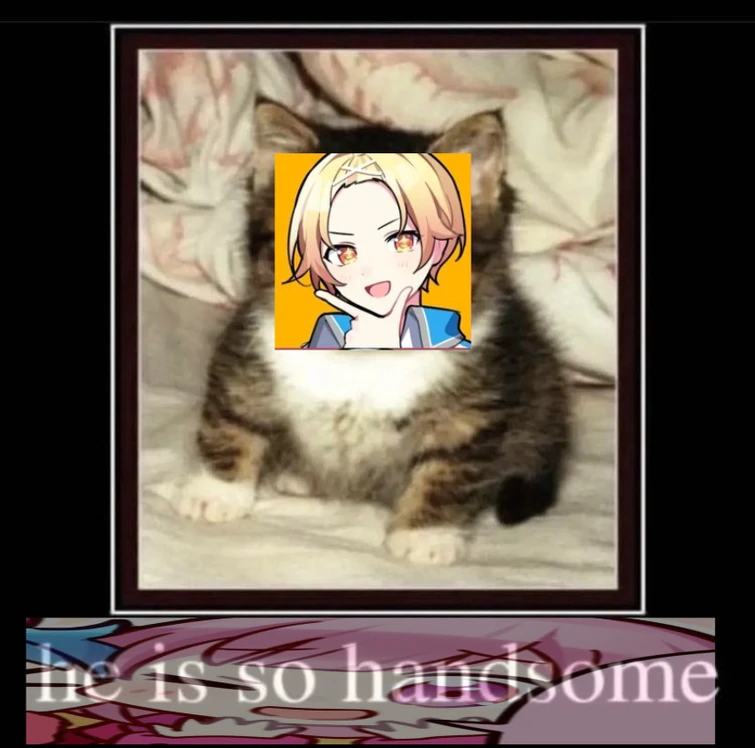 THE LONG AWAITED… POLYCULE MEMES PART 3!!! | Fandom