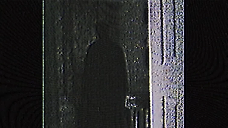 The Bat Incident Alternate | Fandom