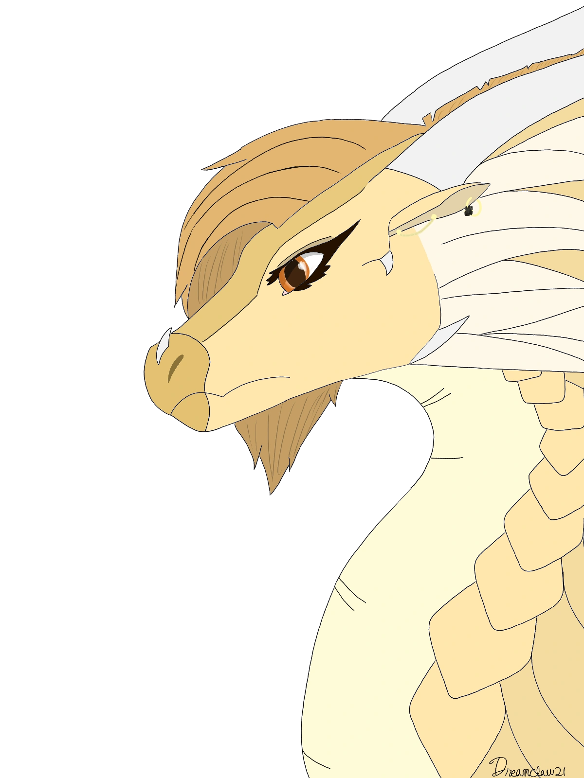 help me name this Sand-IceWing something unique