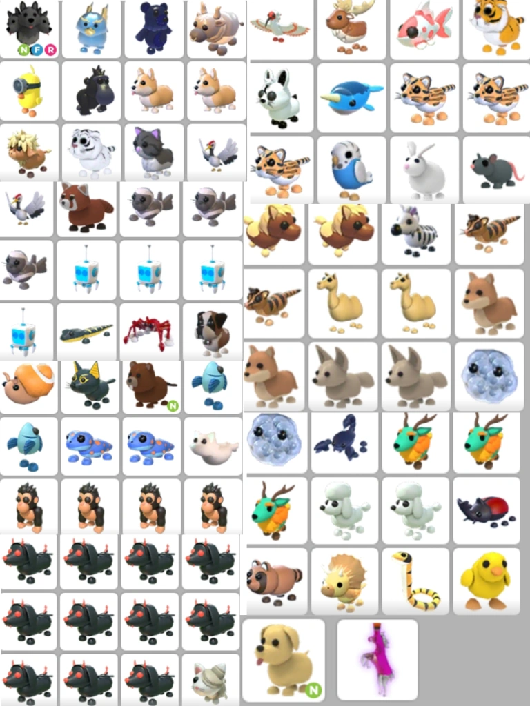 Trading Pets, Pet wear, etc. | Fandom