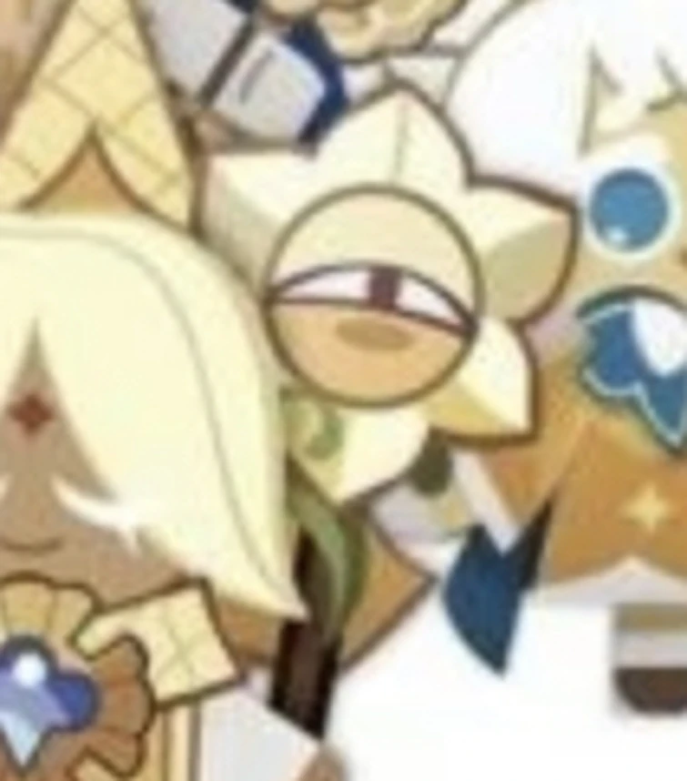 orchid staff image dump | Fandom