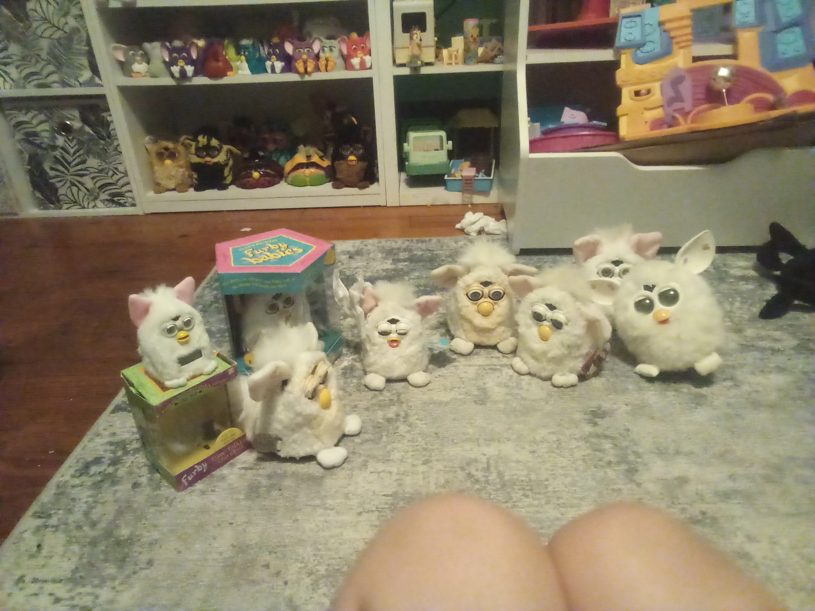 Meet the snowball family | Fandom