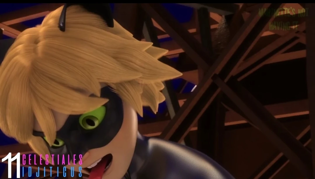 Chat Noir | Fandom