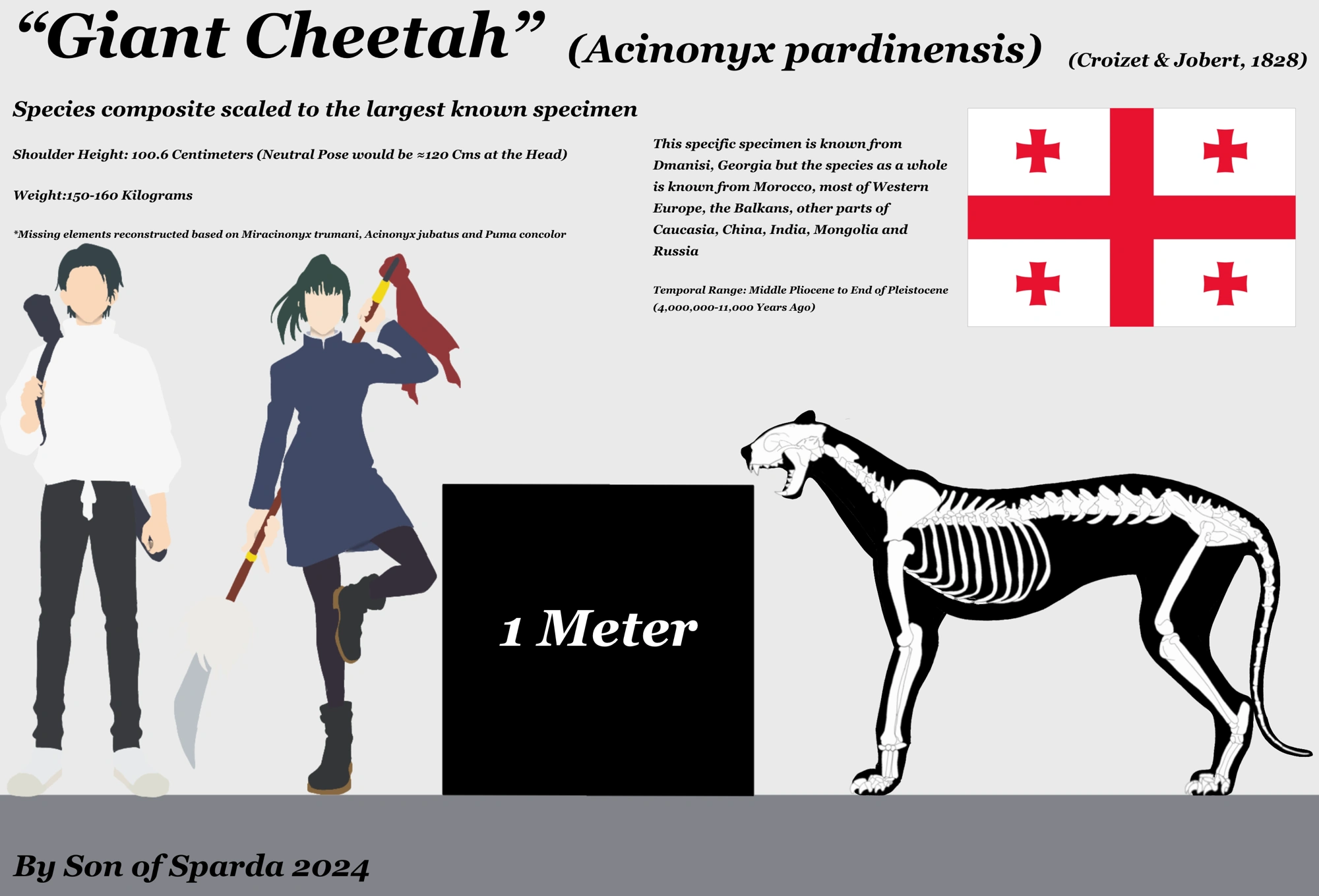 Acinonyx paradinensis skeletal | Fandom