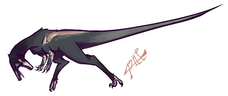 stylized compsognathus drawing | Fandom