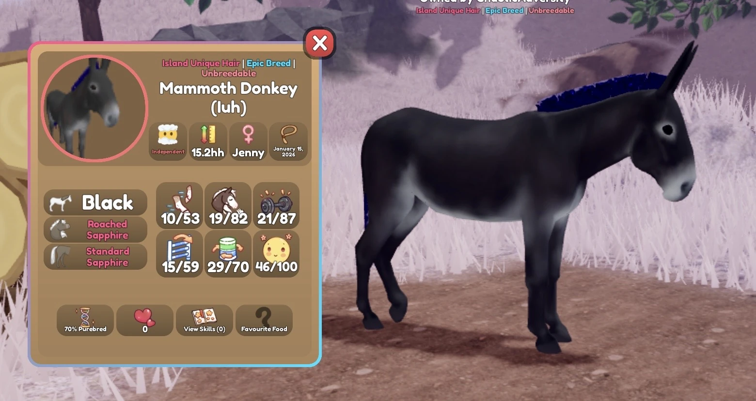 Trading donk | Fandom