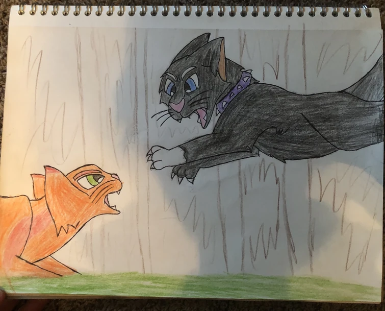 (Almost) Finished Firestar VS Scourge! | Fandom