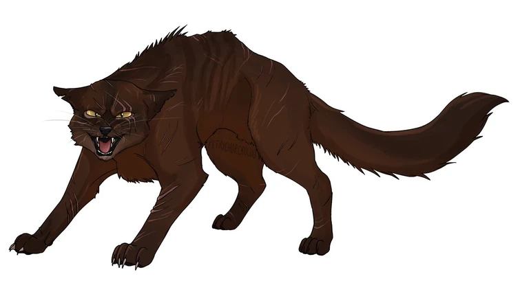 All of the cats in Into the Wild | Fandom