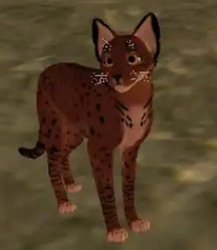 Dariyon Landell Hyche MUFASA The Clouded Savannah X American Burmese ...