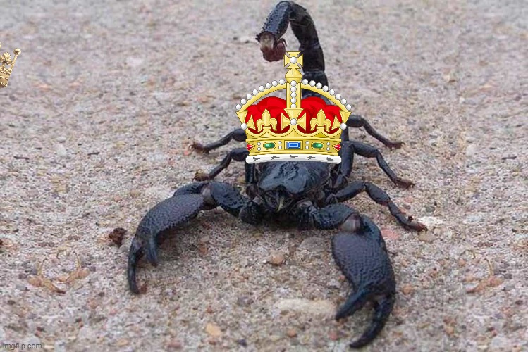 scorpius rex or something idk i didn't watch season 3 | Fandom