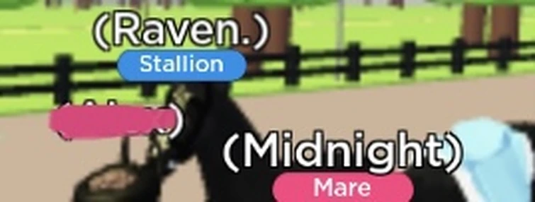 Discuss Everything About Horse Valley 2 ROBLOX Wiki | Fandom