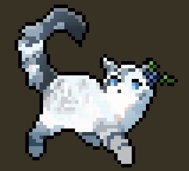 Custom Cats + Code | Fandom