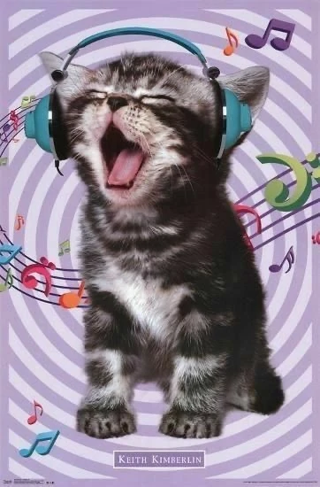 I'm gonna sleep now | Fandom