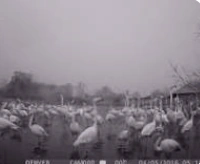 School Memes P1 | Fandom