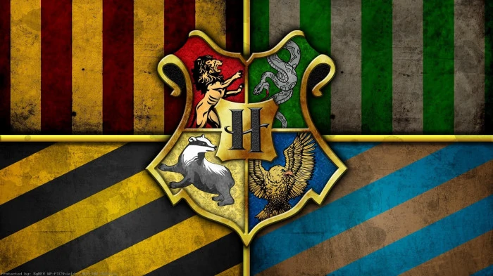 TDI,TDA,TDWT,TDRI,TDAS all characters sorted in to Hogwarts house | Fandom