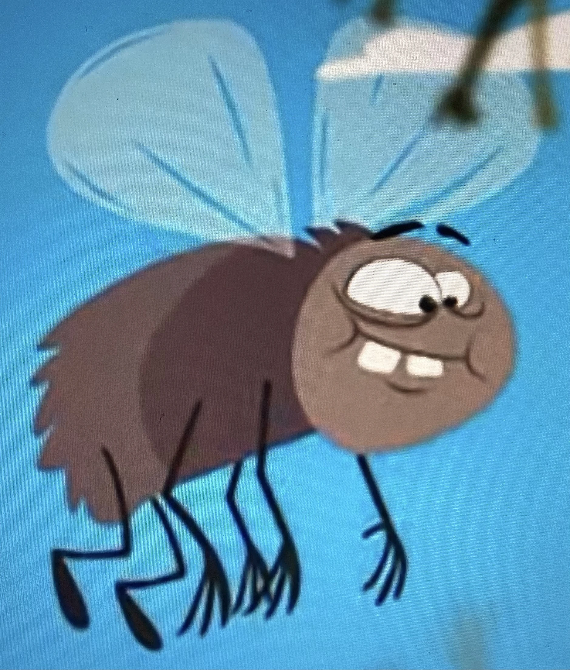 Fruit Fly editing | Fandom