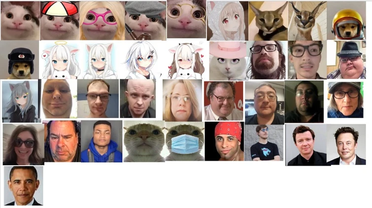 Beluga characters pfp (updated) | Fandom