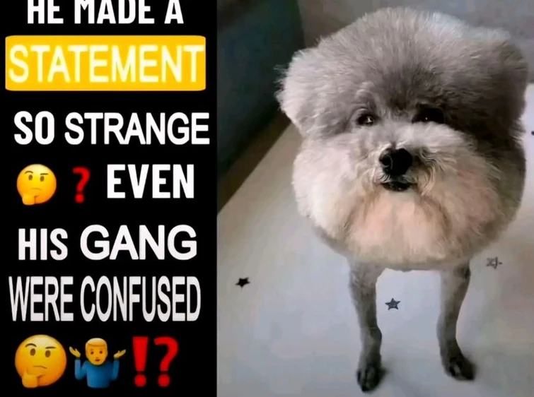 I'm going to sleep now | Fandom