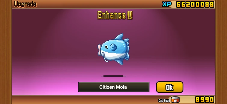 Funni fish + funni smol fish acquired | Fandom