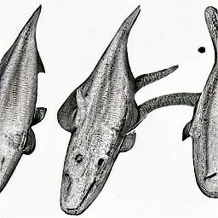 Discuss Everything About Dinopedia | Fandom