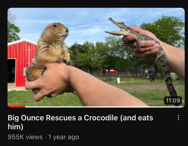 Discuss Everything About The Urban Rescue Ranch Wiki | Fandom