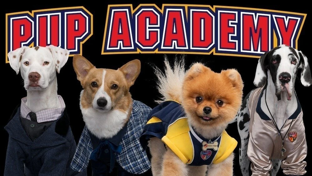 Pup Academy season 3 petition! | Fandom