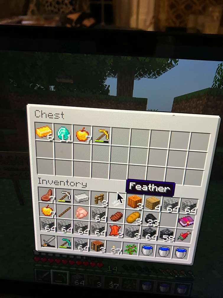 Spreading Minecraft Cheer! | Fandom