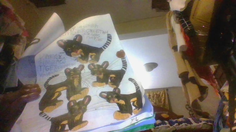 I'm Going to Be Born as an F9 Clouded Savannah Cat In Next Life, I ...