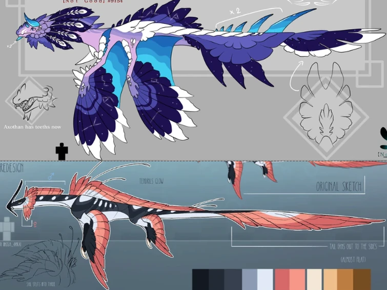 AXOTHAN + REVIIATON ANATOMY STUDY | Fandom