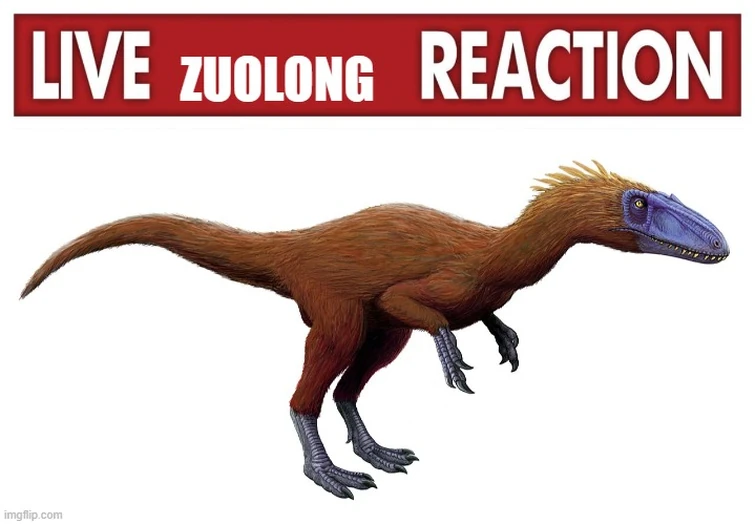 Live Zuolong Reaction | Fandom