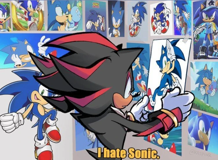 Some random Sonic pics/memes I found on Pinterest to lighten your mood ...