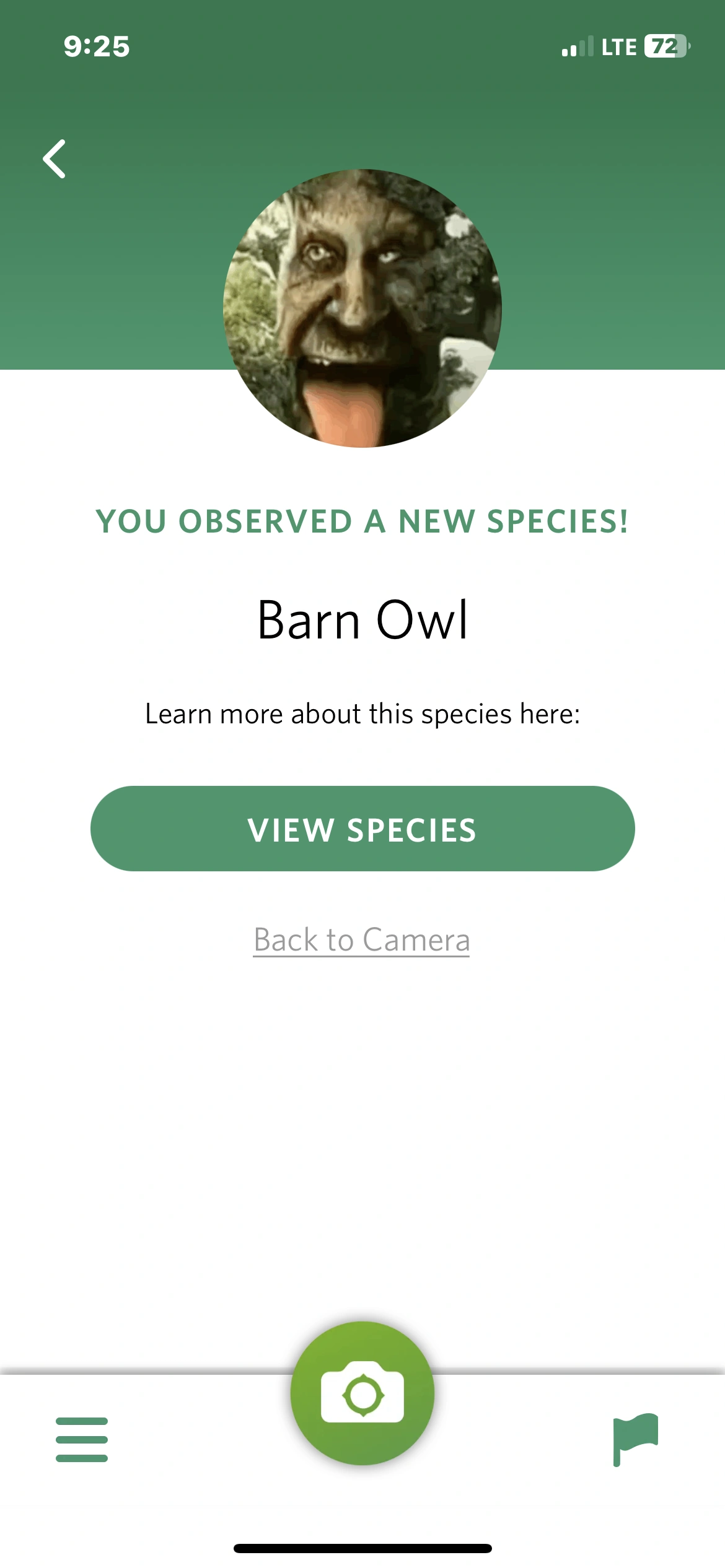 not a barn owl | Fandom