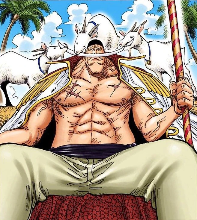 need help my fellow one piecers | Fandom