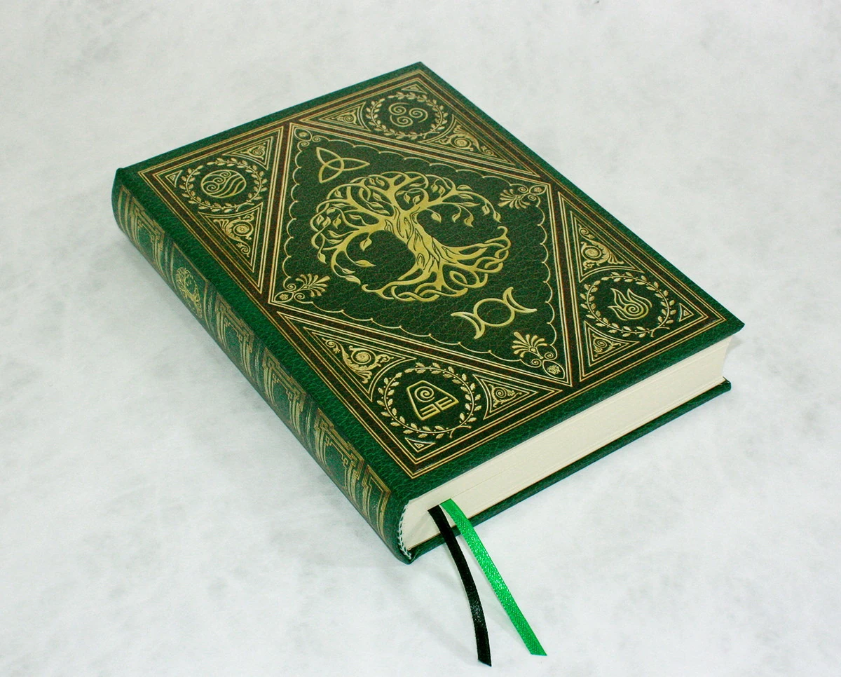 The Reincarnation Book | Fandom