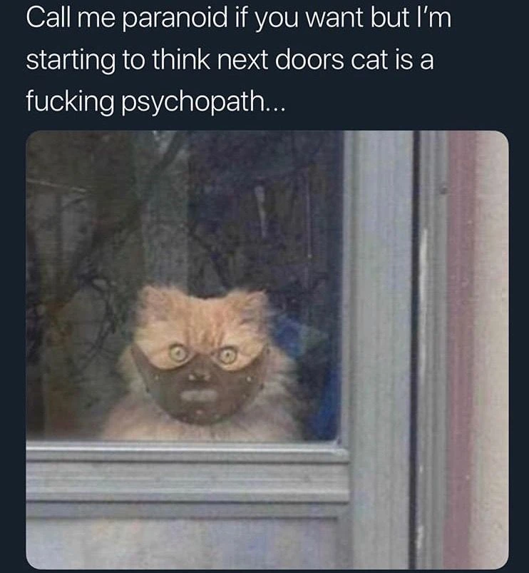 Can someone replace this cat with Cat Alastor | Fandom